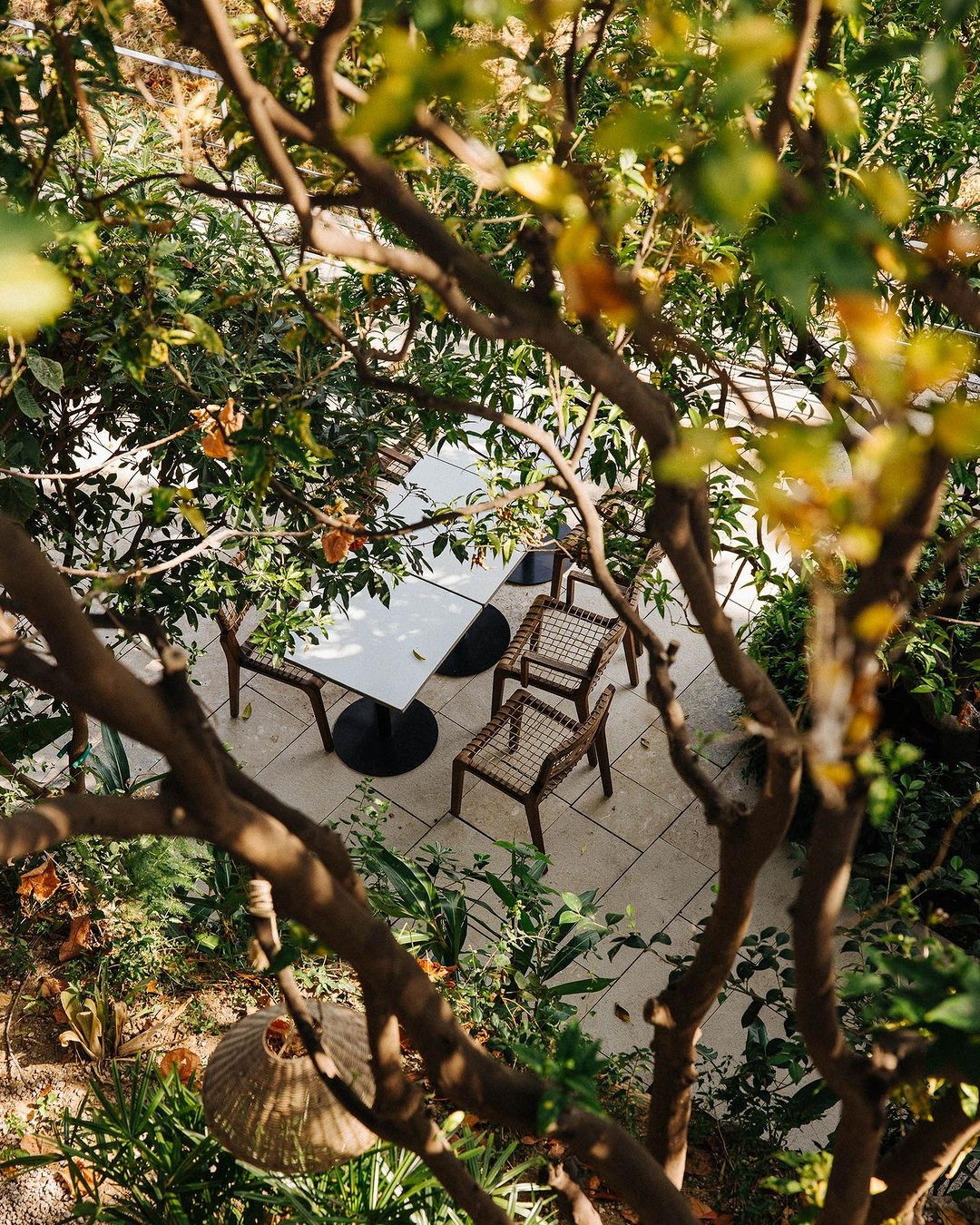 Mirazur: el restaurante sostenible con 3 estrellas Michelin escondido ...